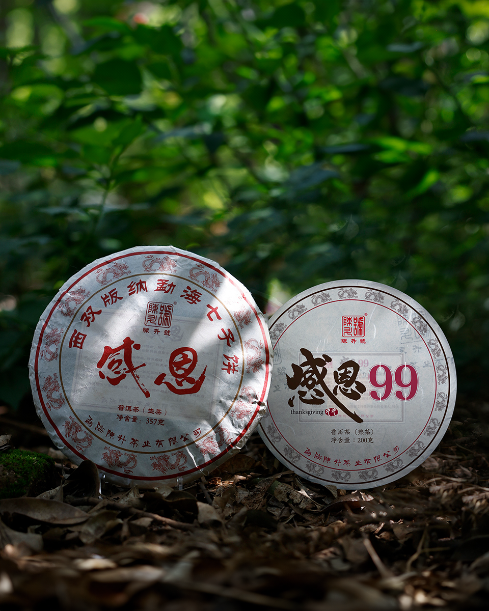 2024 Gan En 99 Ripe Pu-erh Tea – Cspuerh (Chen Sheng Hao)