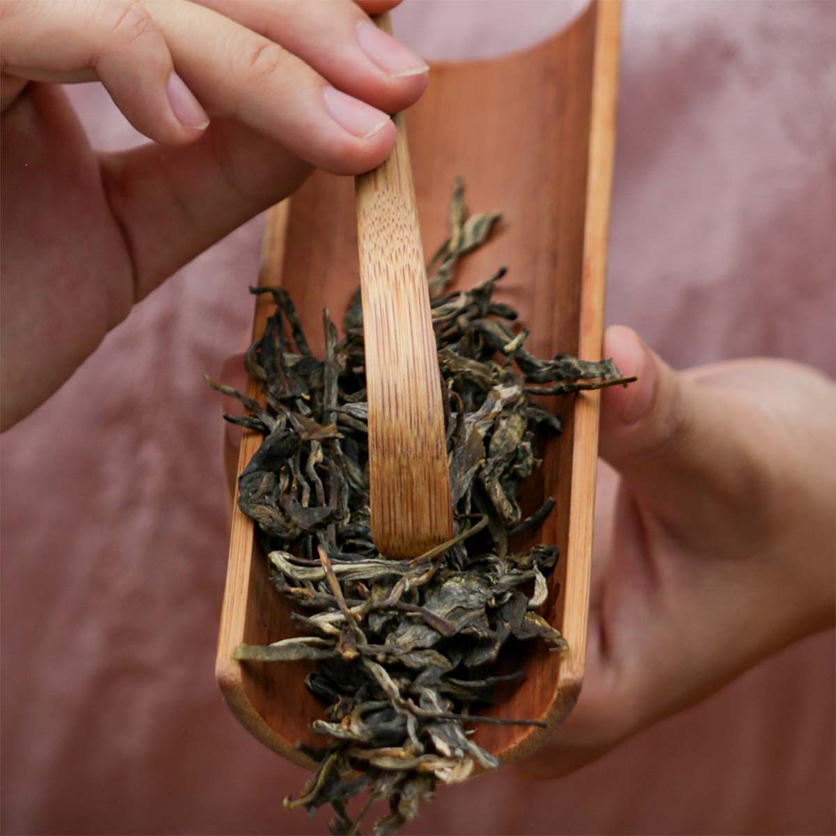 2023 Raw Pu'er Tea Chen Sheng Jiang Xin – Cspuerh (Chen Sheng Hao)