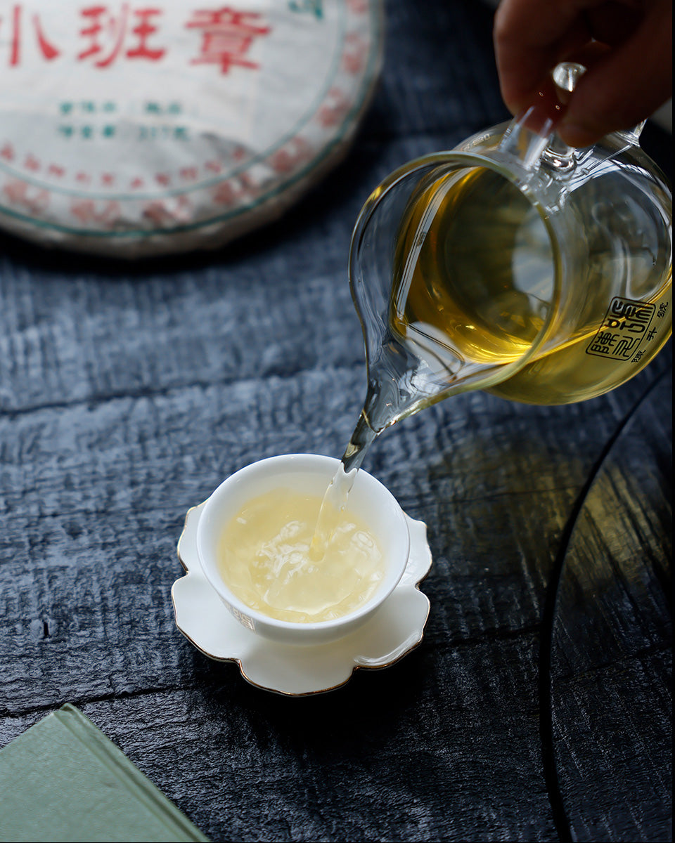 2024 Xiao Ban Zhang Raw Pu'er Tea – Cspuerh (Chen Sheng Hao)