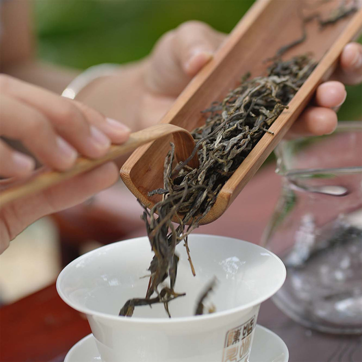 2023 Lao Ban Zhang Raw Pu-erh Tea – Cspuerh (Chen Sheng Hao)