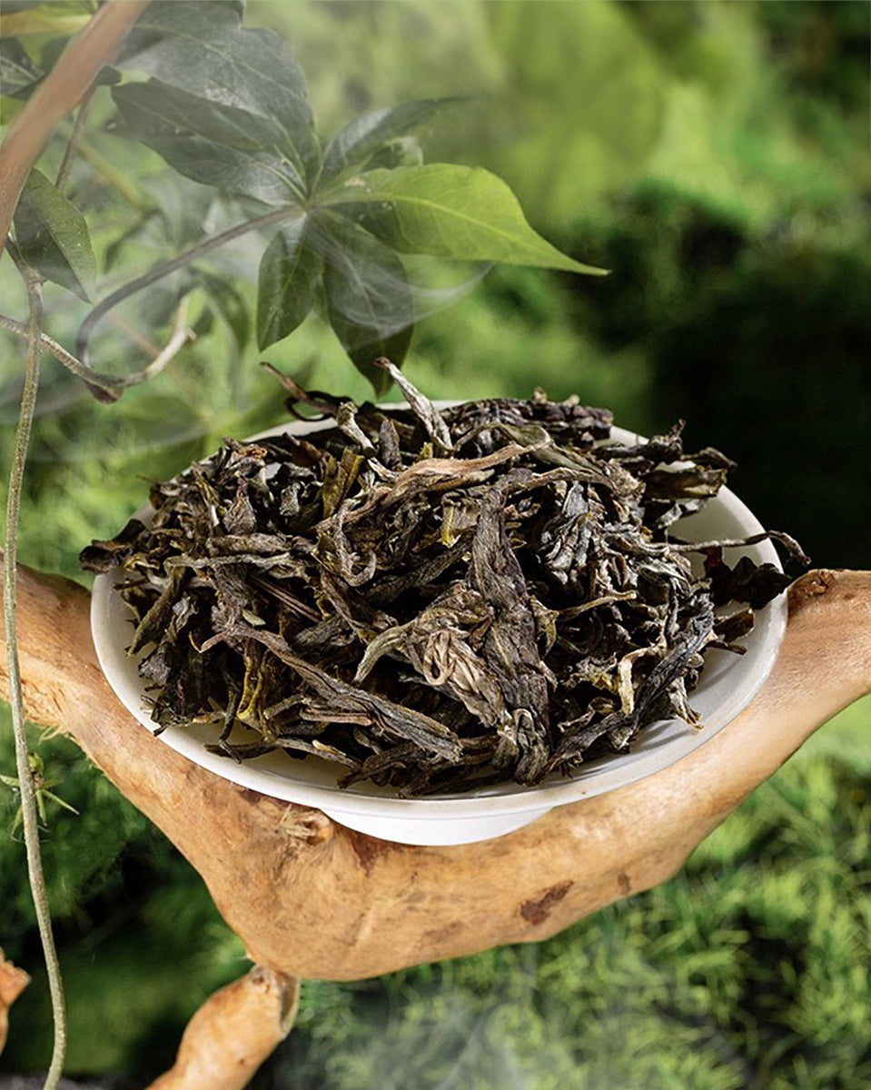 2024 Lao Ban Zhang Raw Pu-erh Tea – Cspuerh (Chen Sheng Hao)